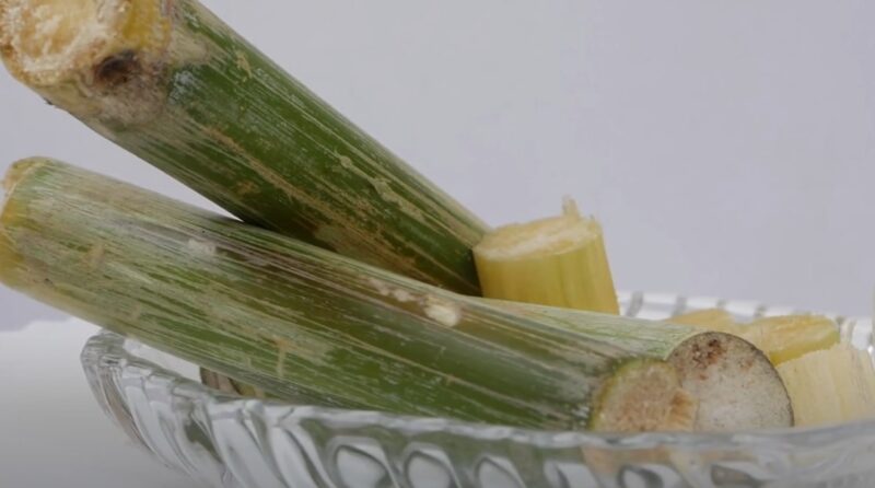 What Exactly Is Rum Made From? A Breakdown of Ingredients - The Boston ...