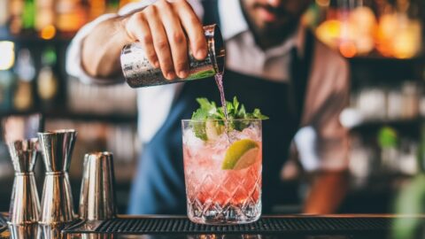 How to Master the Basics of Cocktail Making - A Beginner's Guide - The ...